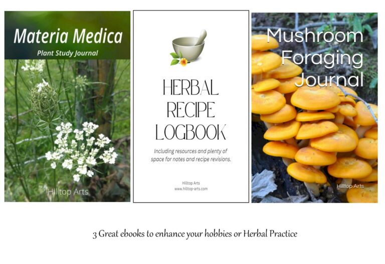 Herbal Journal – Easy Herbal Remedies